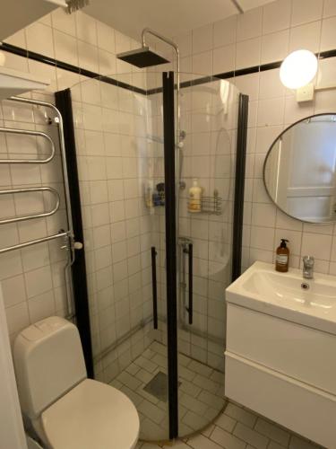 Apartment In So-fo At Sodermalm 24sqm - Stockholm