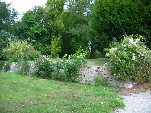 Chambre D'hote Au Domaine De La Miottiere - Orne