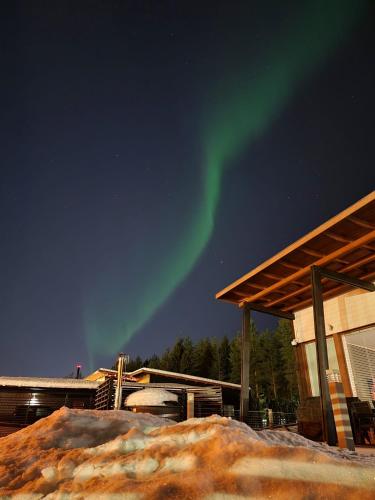 Arctic Alma Villa - Rovaniemi