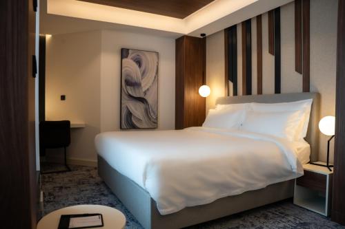 Hotel Rubin DHS - Kruševac