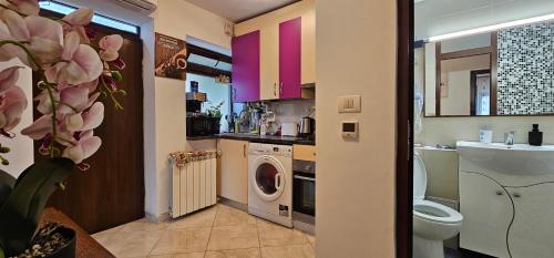 Apartament Plaja Neversea Centru Constanta - Constanța
