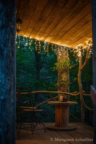 La Cabane Aux Ecureuils - Couvin