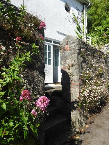 Camellia Corner - Penzance