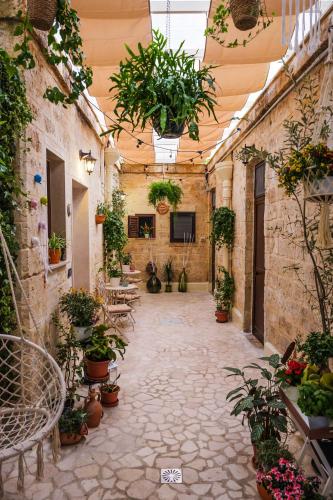 Il Giardino Di Sole - Bari