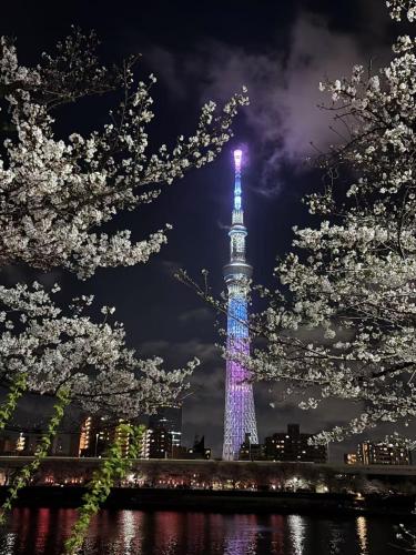 Newly Built Private Tokyo Villa Beauty House Near Asakusa & Skytree - Tokio