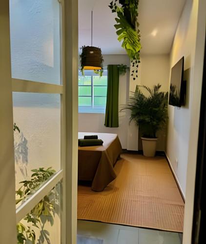 Cande - Tropical Room - Rio De Janeiro