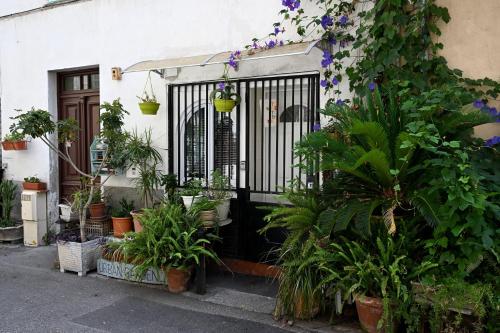 Un Jardin En Ville - Nice