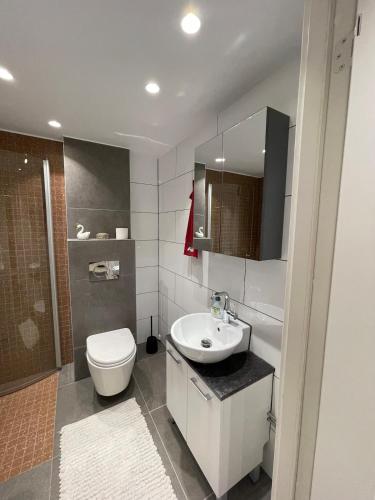 Apartment Near Arlanda Airport Stockholm Including Parking - Rosersberg