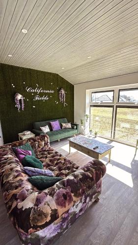 California Fields 2 Brand New Open May - Caister-on-Sea
