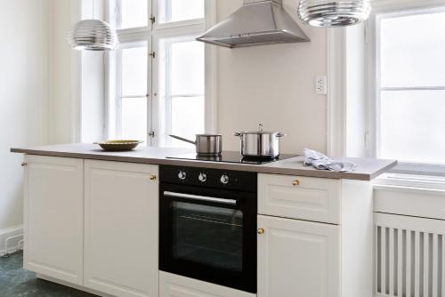 Grand Heritage Next To Park - 3 Bedrooms - Copenhagen