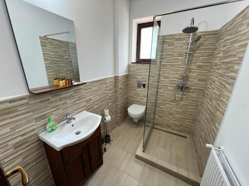 Hostel Omul Verde - Maros