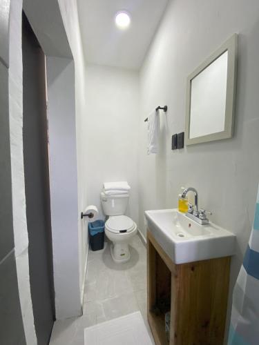 Dgm Lofts Gpe 7 Cerca Estadio Rayados Mty - 구아델로프