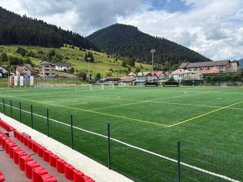 Vila Stadion - Transylvania