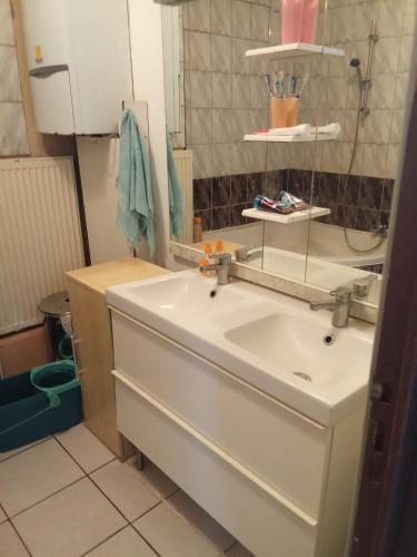 Chambre Dans Une Appartement - Mulhouse