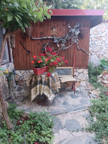 Andrada Garsoniera 2 - Mangalia
