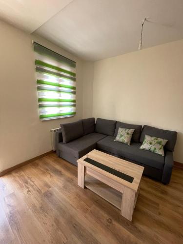 Apartamentos Turisticos -Leon Antiguo- - León