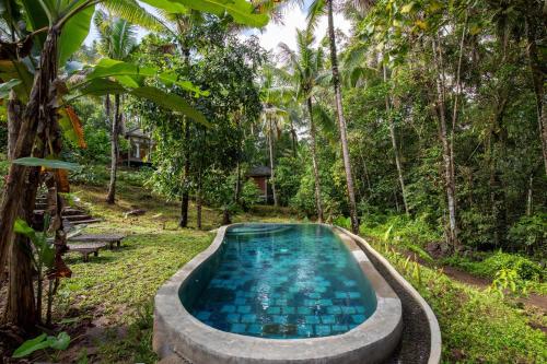 Bali Secret Jungle - Bali