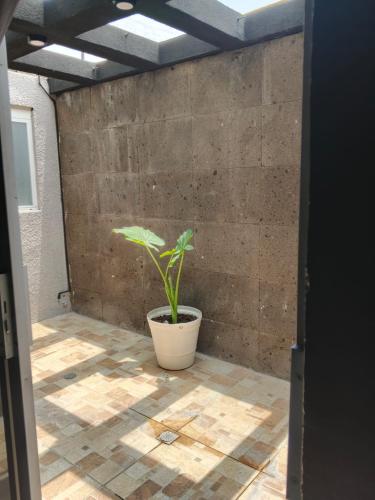 Unidades Privadas Con Ac-tv-wifi Y Estacionamiento En Centro De Mty - Monterrey