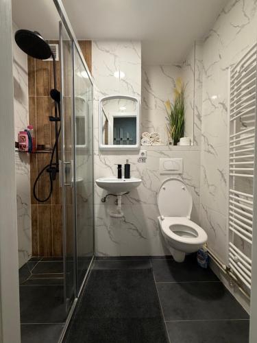 Apartament 2 Camere - Baia Mare