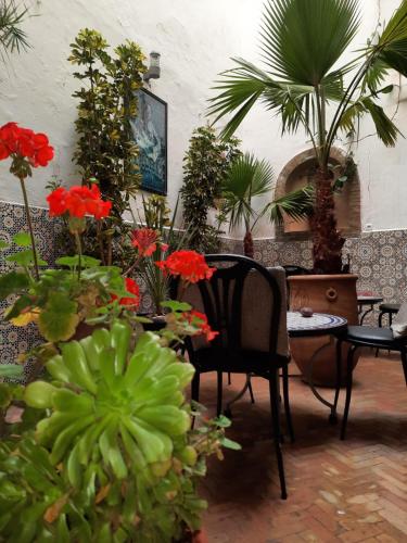 Hostel & Riad - Essaouira