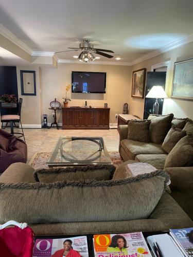 Spacious Light & Bright Private Apartment - Fairfax