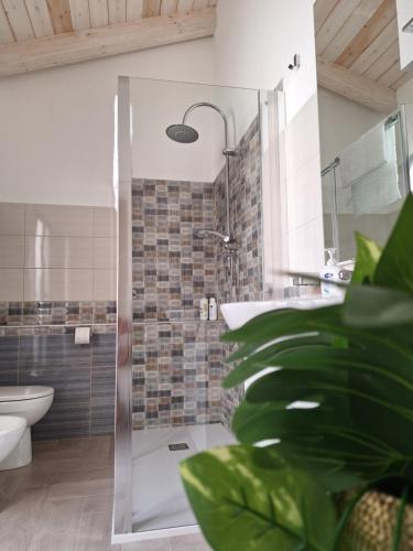 Rooms Home - Palmi