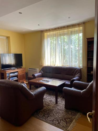 Under The Walnut Tree Apartment - Varna