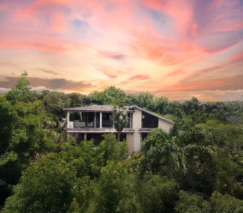 Treetops - New Designer Villa On Top Of Negril! - Negril