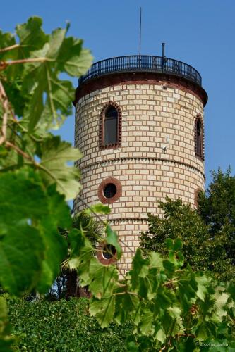 Torre Veglio - Casale Monferrato