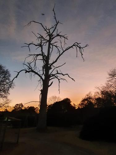 Acorns And Quackers Self Catering - Underberg