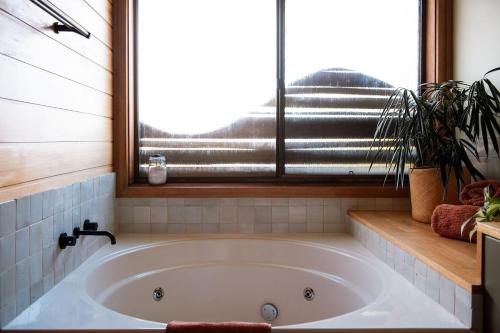 Sunshine Apartment At La Casa Cubo - 托爾坎