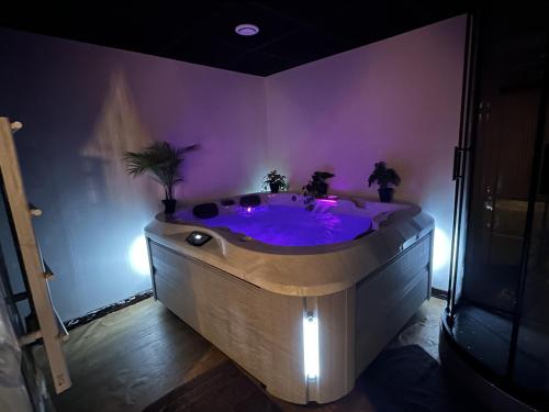 Cocon Jacuzzi Et Cinema 4k B - Bordeaux