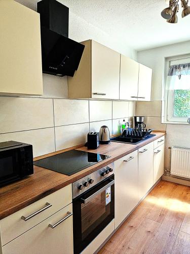 Citywohnung Am Bergzoo - Halle (Saale)