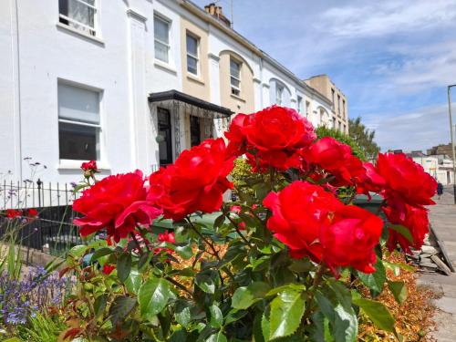 Hamilton House - Cheltenham