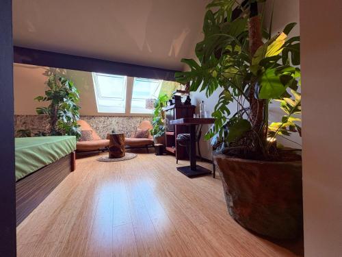 Casa Verde Brugge-guesthouse Rooms Only - Bruges
