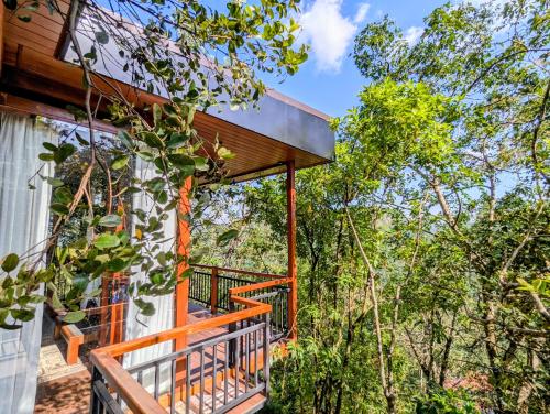 Avissawella Hotels You Should Book