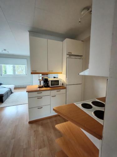 Alkkula Apartment - Ylitornio