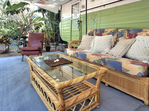 Vintage Coral Green - Townsville