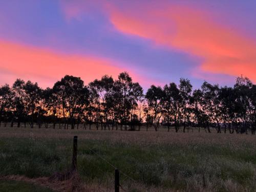 Cycle On Star Lane - Beechworth