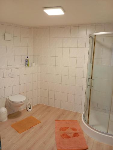 Ferienwohnungen Altstadt - Halle (Saale)