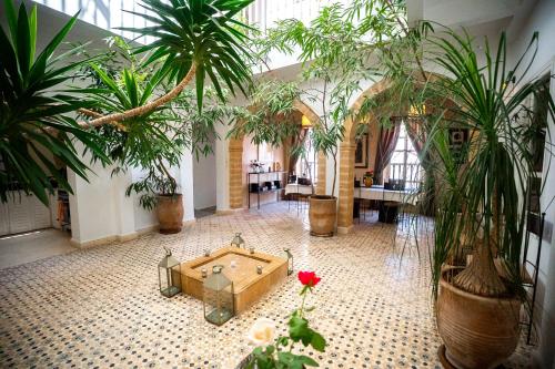 Riad Bacha Mogador - 5 Suites - Petit Dejeuner - Essaouira