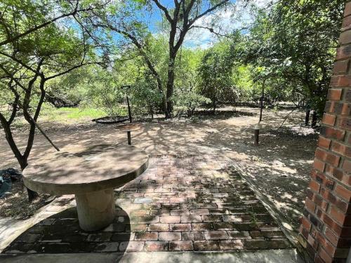 Hello Kruger Skilpad - Marloth Park
