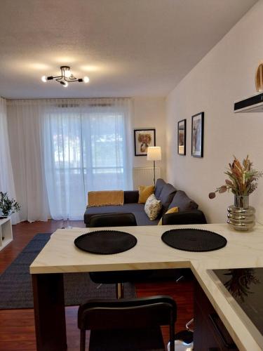 Logement 2 Pieces Cosy Avec Parking Prive - Straatsburg