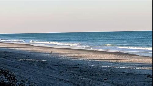 Paradise Beach West - Melbourne, FL