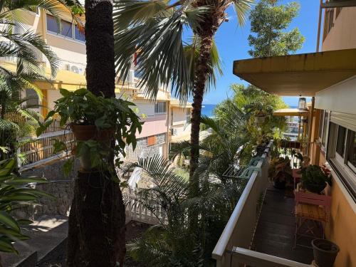 Studio Piscine A Saint-gilles Pres Des Plages - Saint-Gilles les Bains