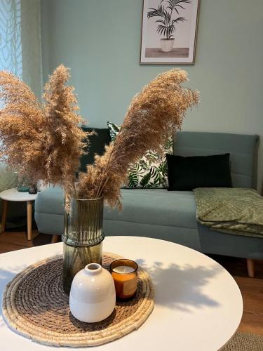Studio Calme A 2 Pas Du Rhone - Wifi Rapide - Tournon-sur-Rhône