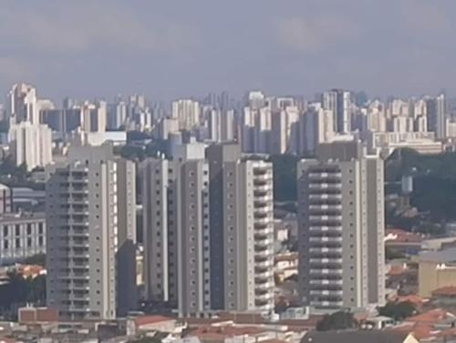 Feiras E Compras 10 - São Paulo