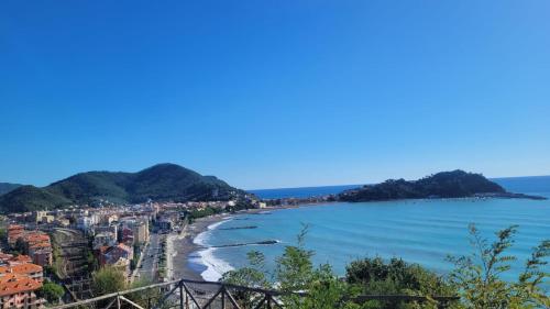 Il Tulipanonero - Chiavari