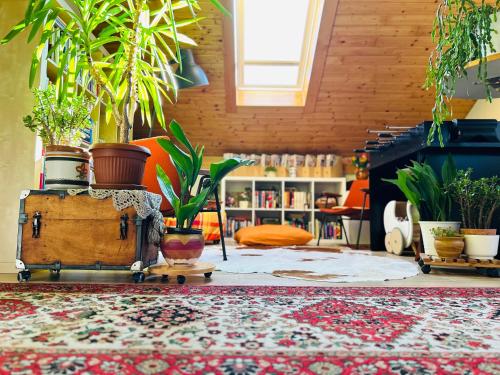 House For Nature Lovers - Ljubljana