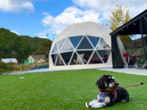Glamping&bbq Village Takibi Terrace - Vacation Stay 97093v - Sanda